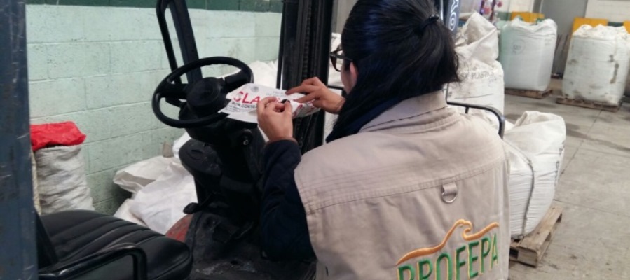 Profepa - La ley al servicio de la naturaleza - CLAUSURA PROFEPA DOS EMPRESAS ESTABLECIDAS EN LA ...